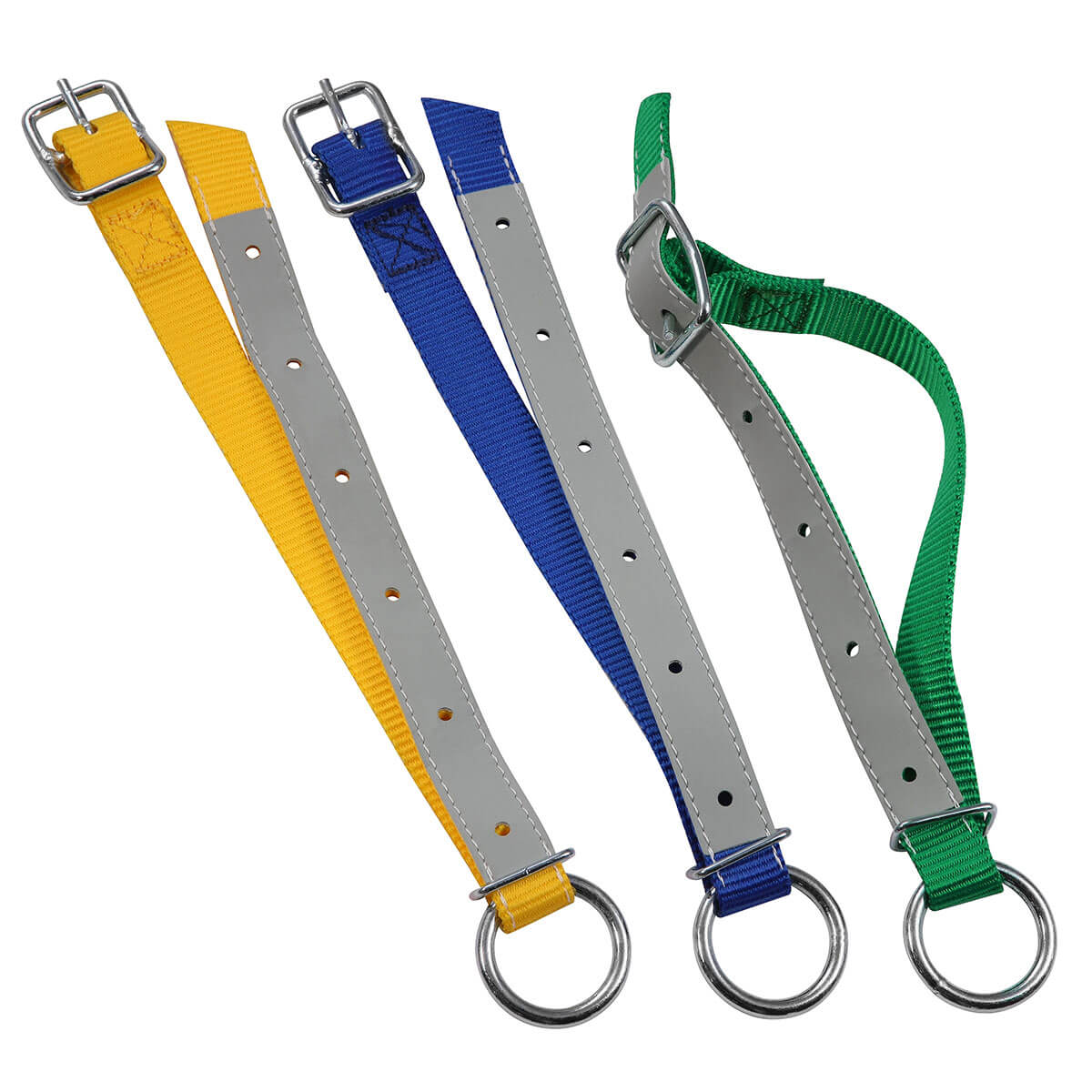 COLLAR FOR SHEEP WITH REINFORCED LEATHER 25 MM - 65 CM – Iaber innovation
