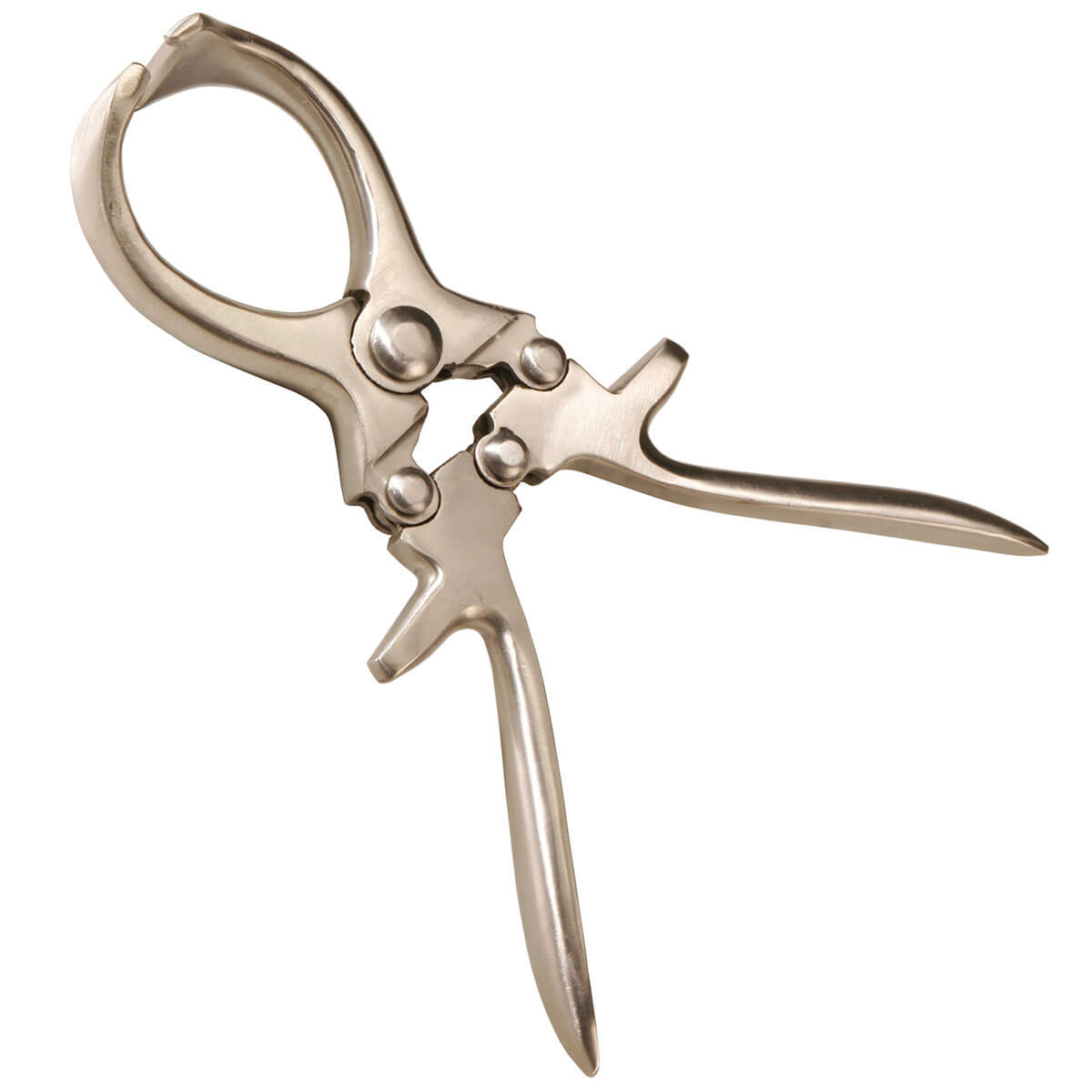 CASTRATION FORCEPS FOR LAMB 23 CM – Iaber innovation